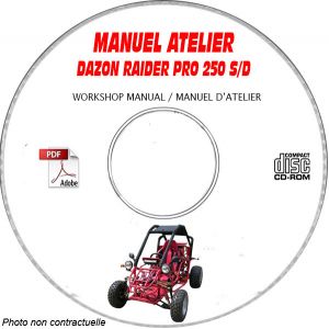 revue technique DAZON RAIDER PRO 250 S/D type PMI172MM Manuel d'Atelier ...